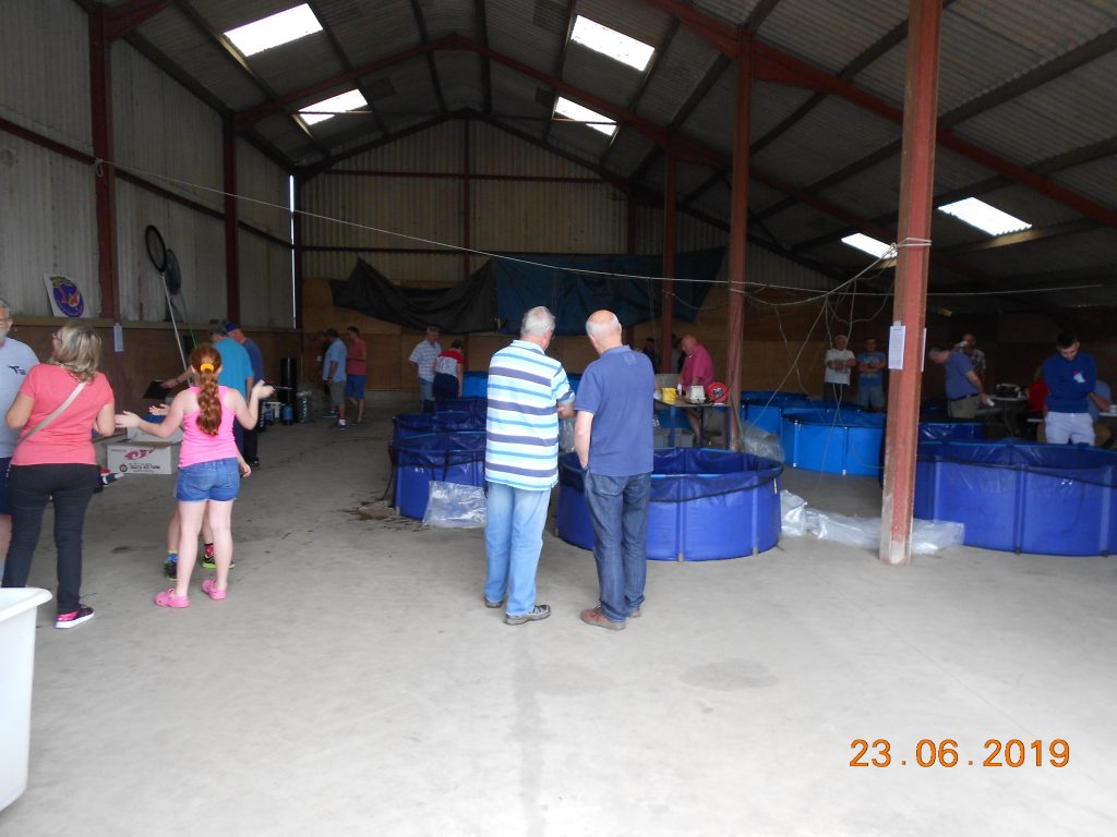 2 - South Hants Koi Club