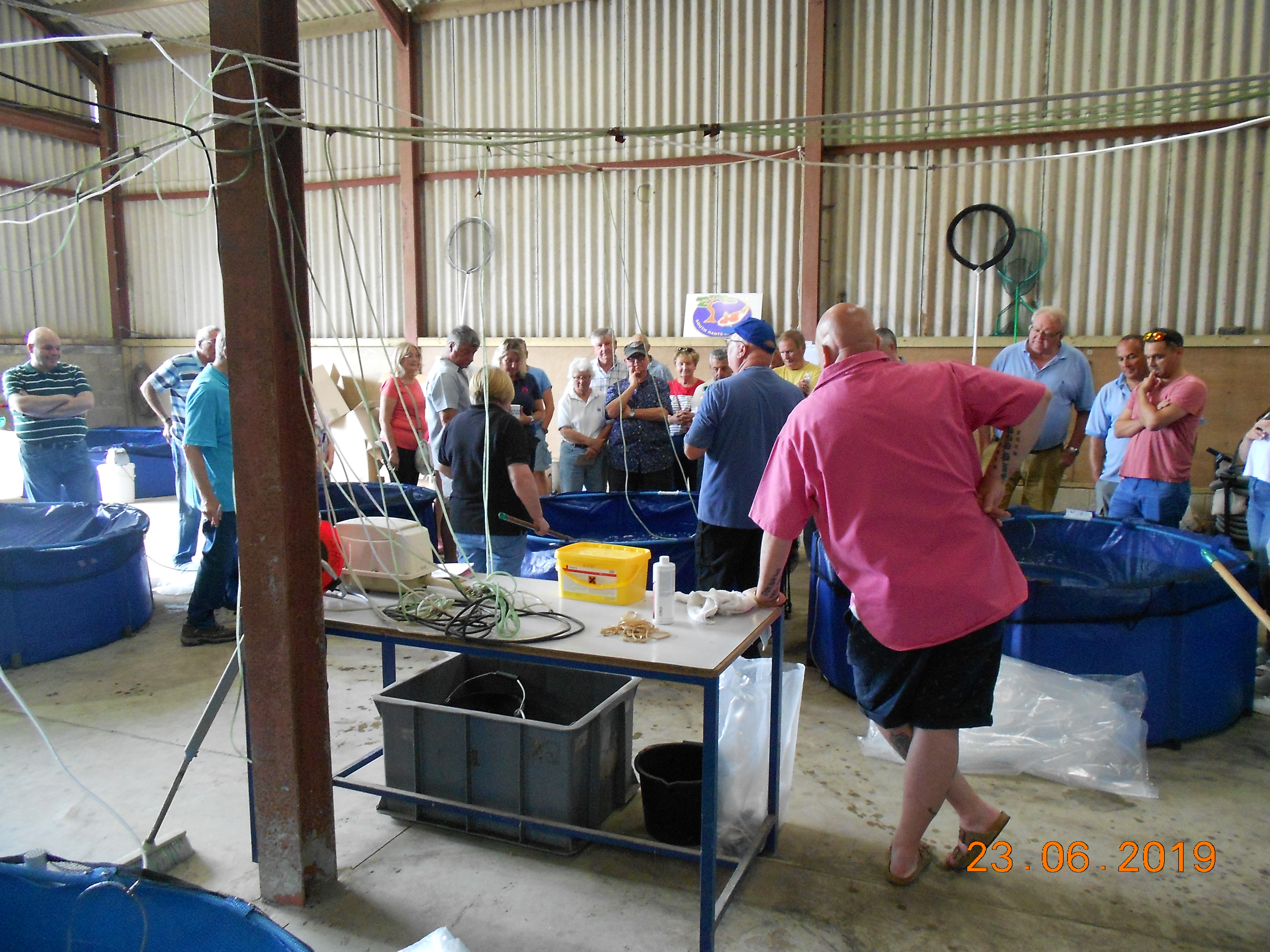 7 - South Hants Koi Club
