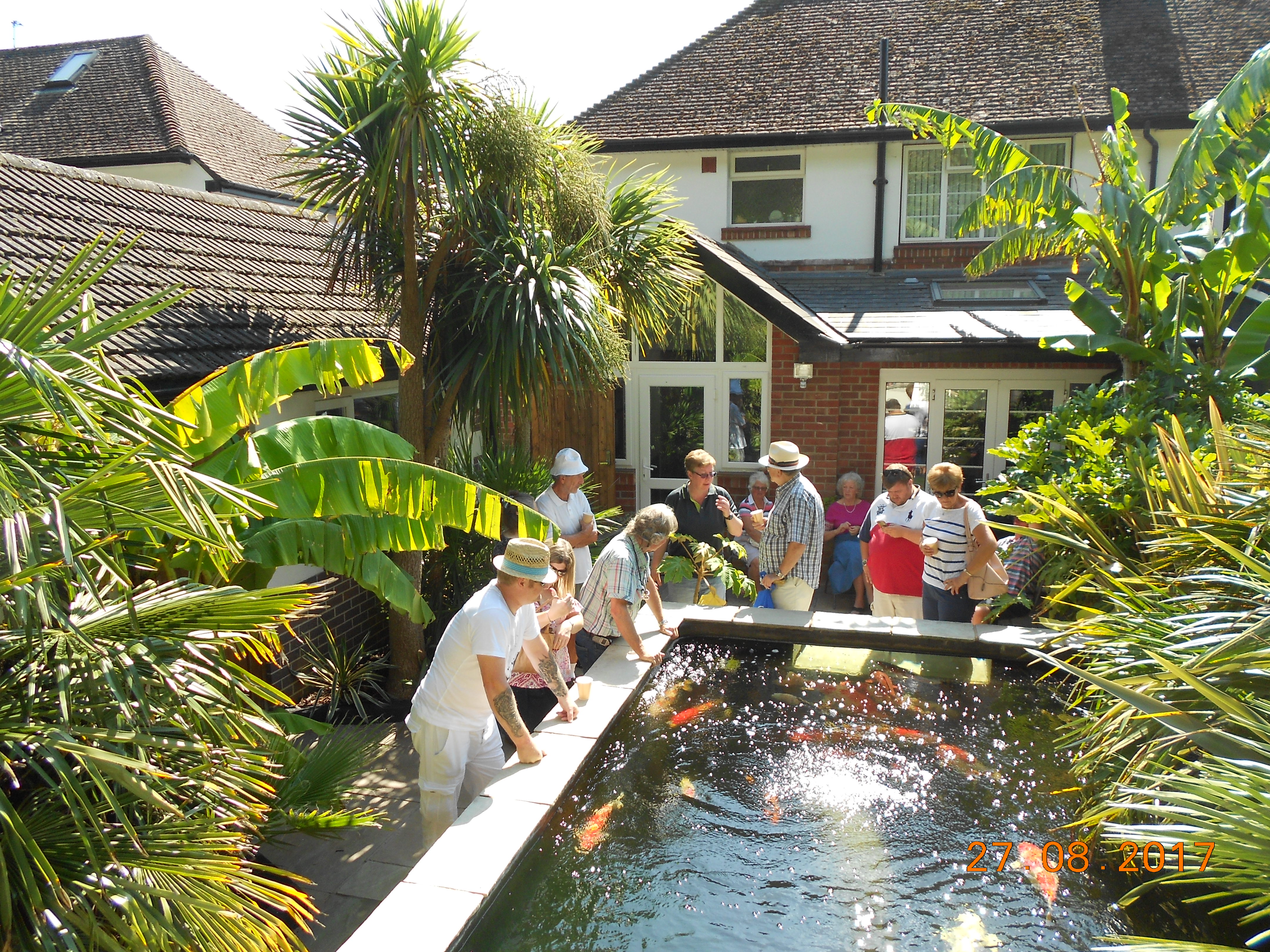Gallery - South Hants Koi Club